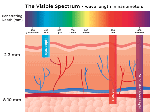 Blue Light vs Red Light vs Infrared – HealthLight Blue Light vs Red Light vs Infrared – HealthLight